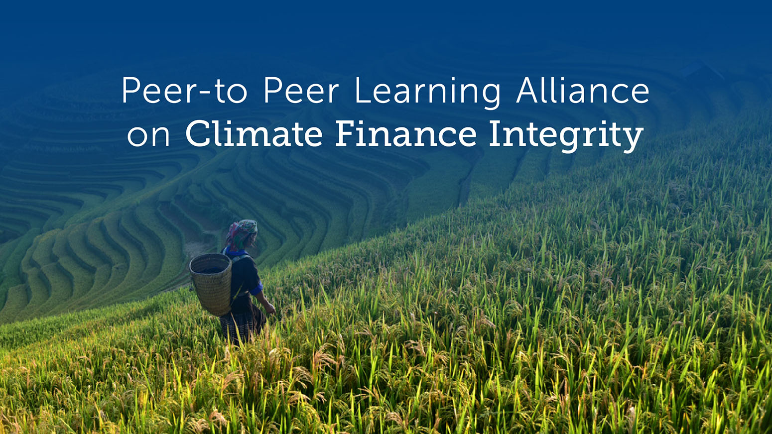 Peer-to-Peer Learning Alliance on Climate Finance Integrity ...