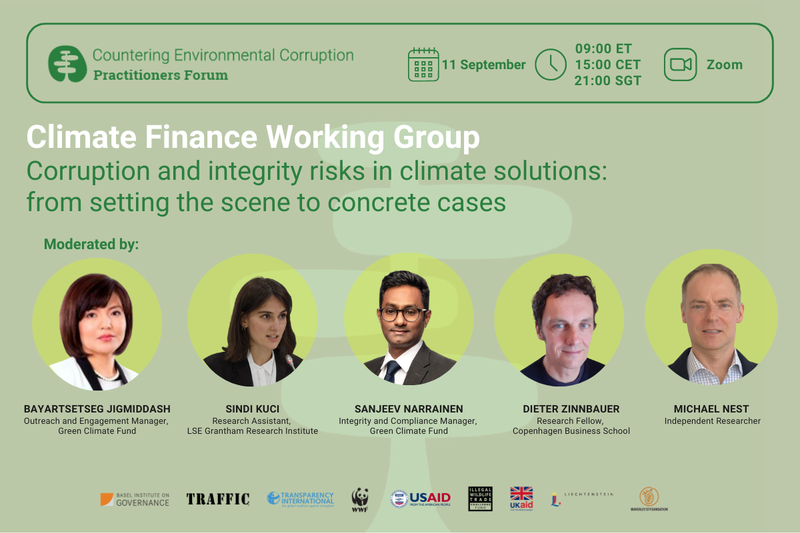 Climate Finance Working Group: Corruption and integrity risks in ...